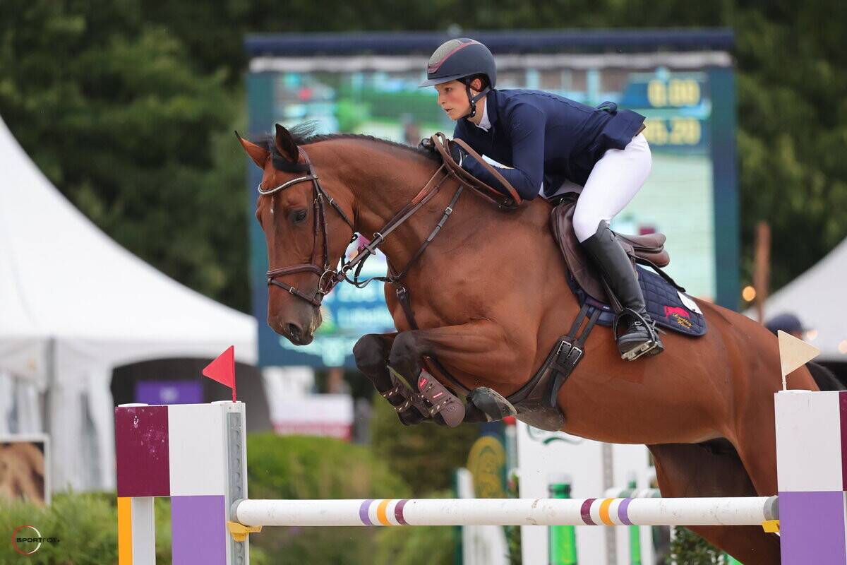 Karel Cox Horses - Labella V