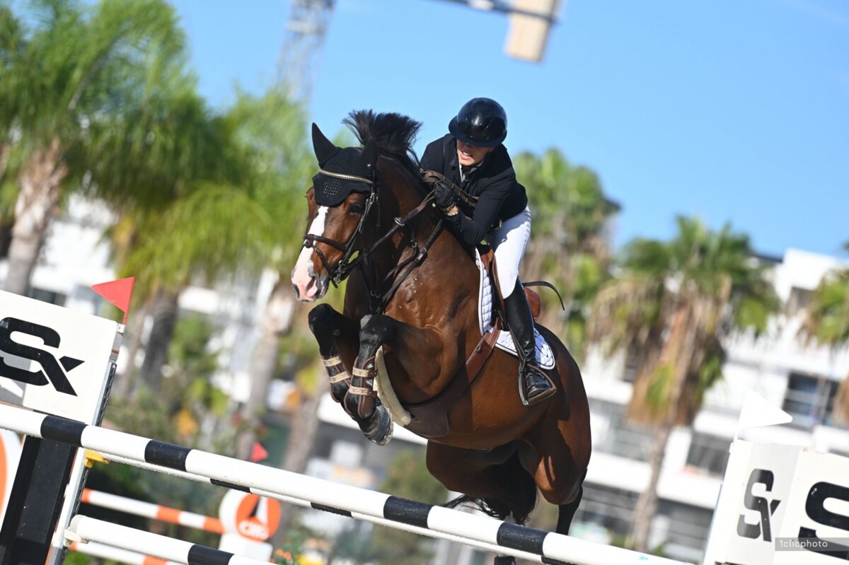 Karel Cox Horses - Azorro v/d Pluishoek